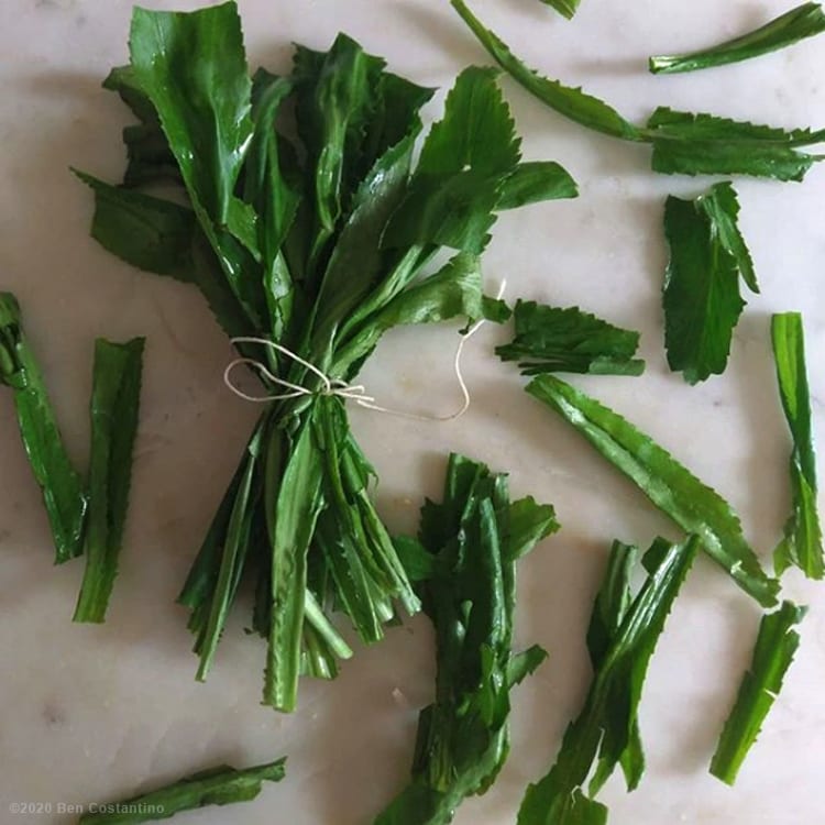 Quick Taco Meat – Classic "American" Style - Homemade in Astoria